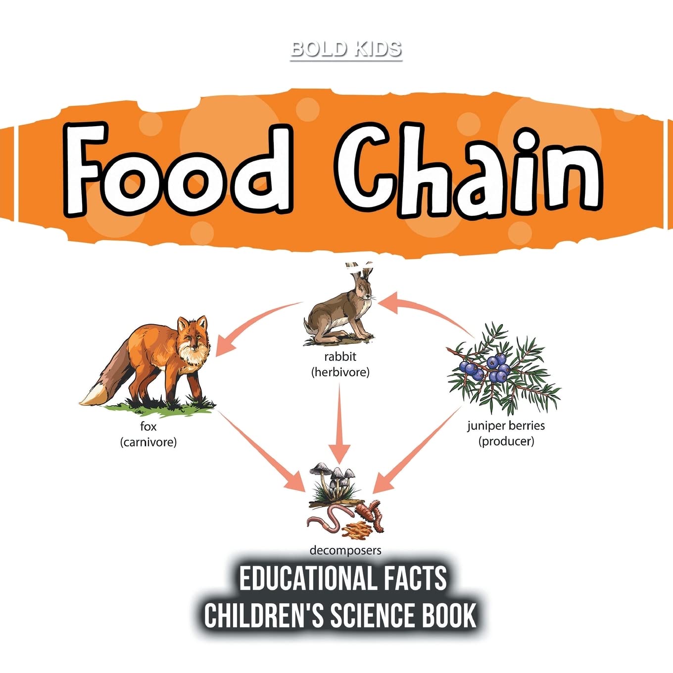 Food Chain Educational Facts Children's Science Book: Bold Kids ...