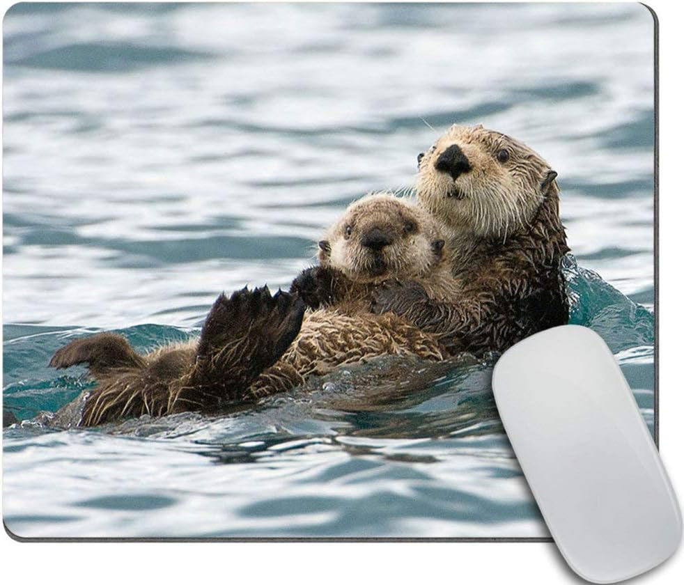Amazon.com : Amcove Cute Animal Sea Otters Mousepad, Otters Customized ...