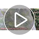 Amazon.com : BKDMZZMY Garden Netting with Drawstring and Zipper, 5.9x6.6FT Fruit Tree Netting ...