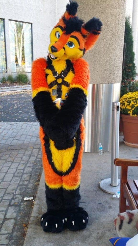 Orange Yellow Cute Husky Cat Fursuit Fullsuit Teen Barbados | Ubuy