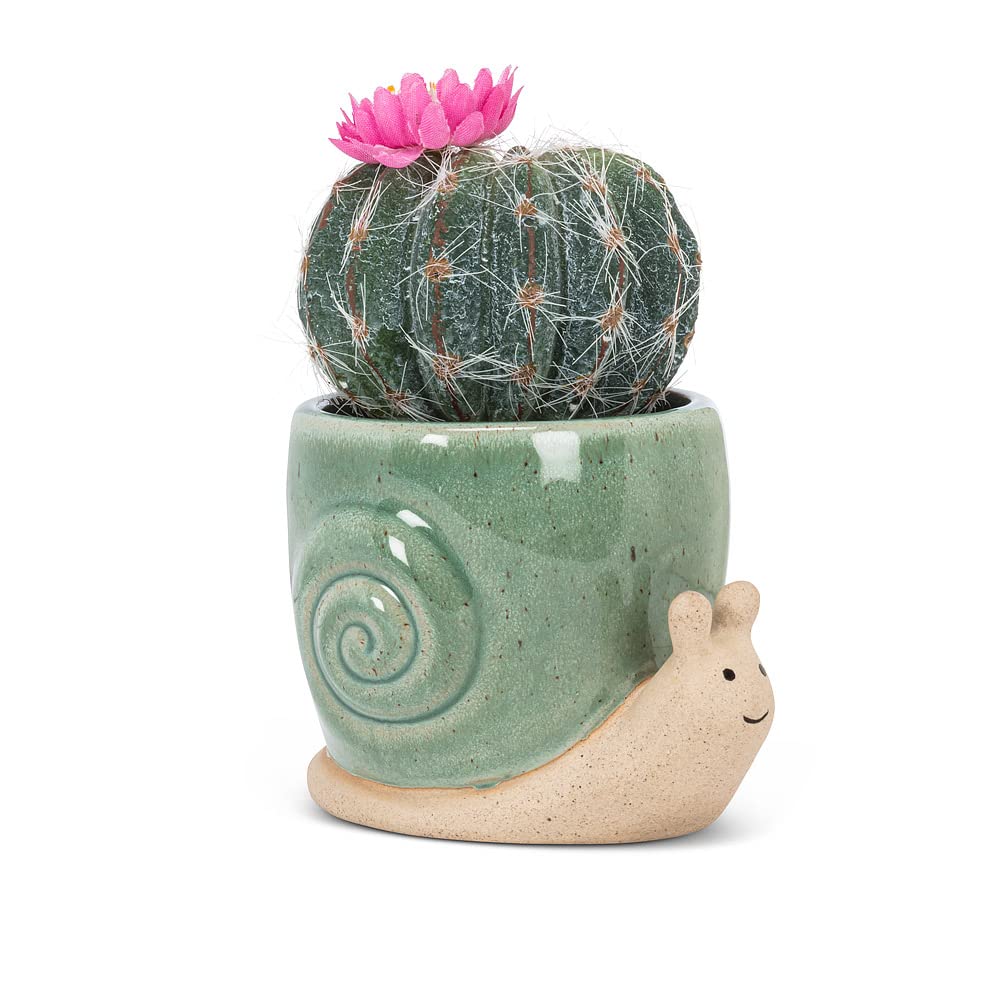 Snapklik.com : Collection Extra Small Crawling Snail Planter
