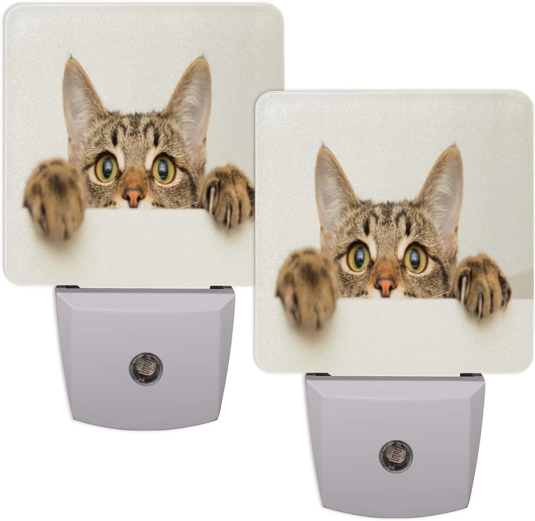Pardick Funny Cat Plug in Night Light Set of 2, Animal Cat LED ...