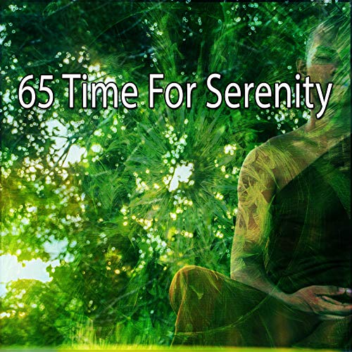 Play 65 Time for Serenity by White Noise Therapy on Amazon Music