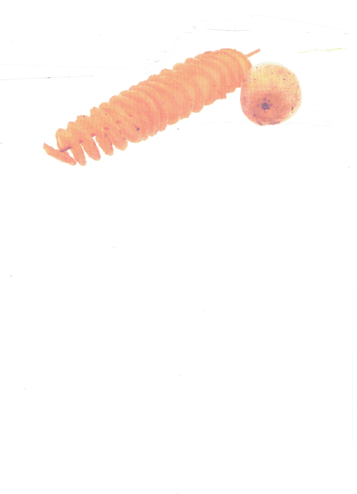 The Queen's Captain: Colonial Series Book 3 eBook : Watt, Peter: Amazon ...