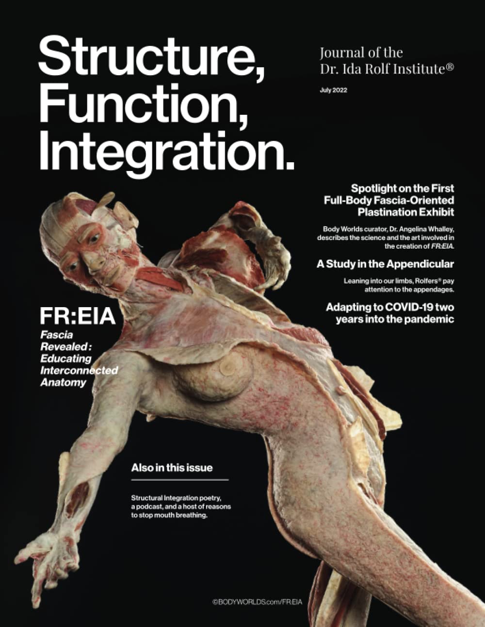 Structure, Function, Integration: Journal of the Dr. Ida Rolf Institute ...