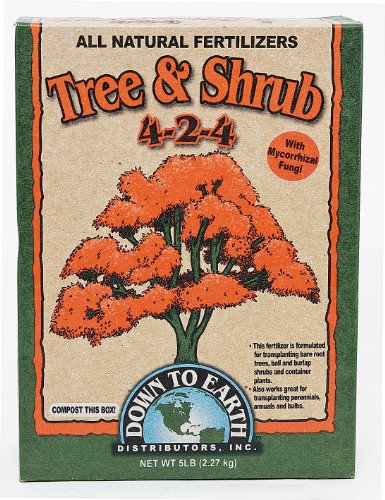 11 Best Fertilizer For Trees | Reviews + Guide