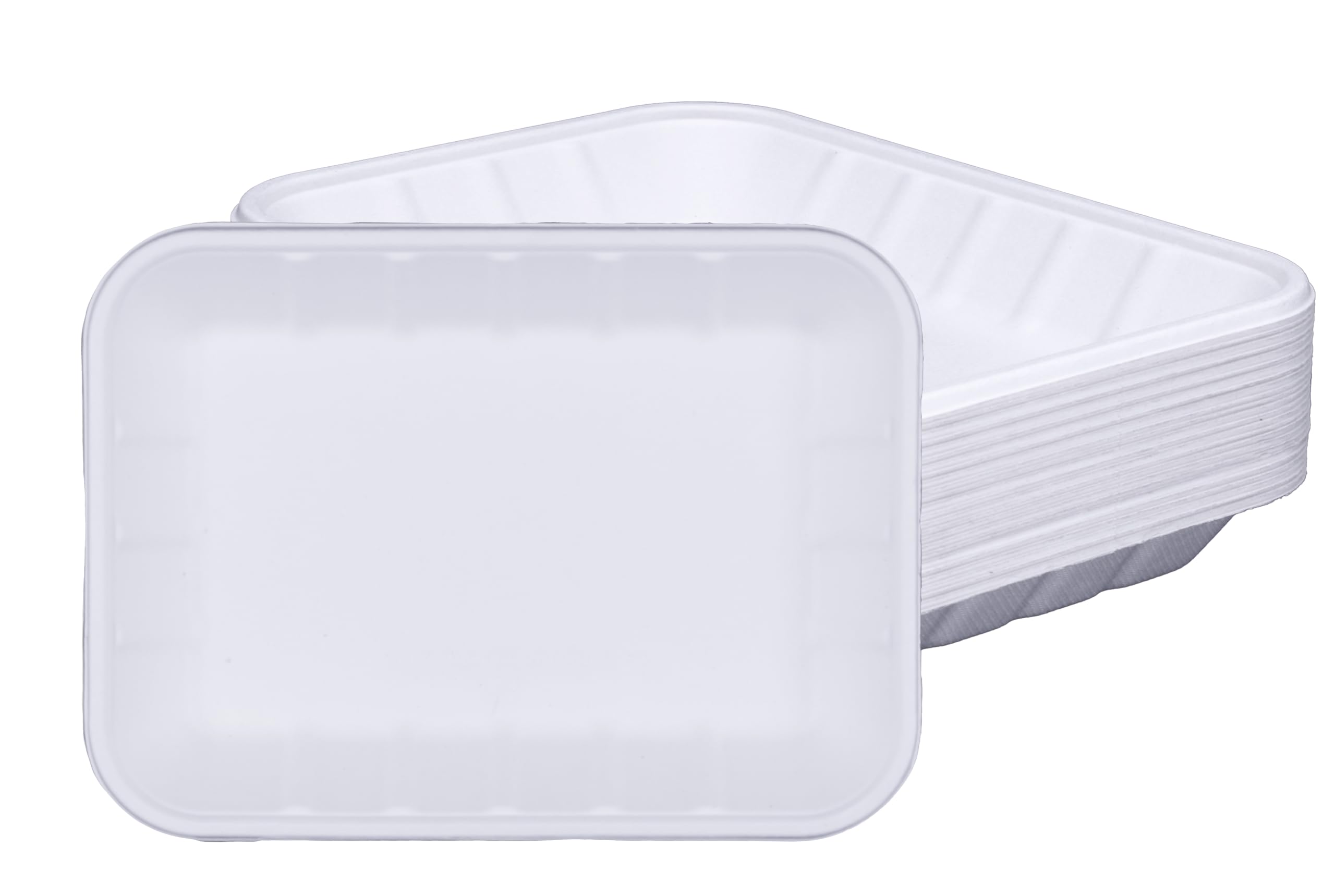Snapklik.com : Biocare 10 Inch Rectangle Trays 50 Pack 100% Compostable ...