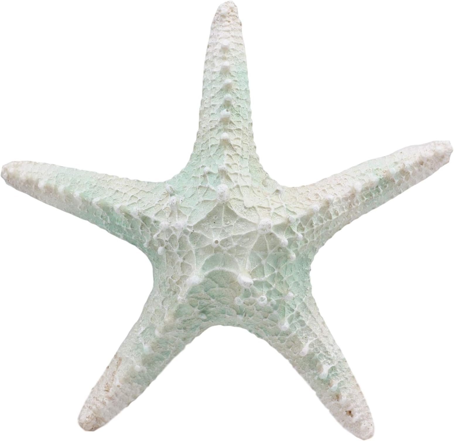 Amazon.com: Fitz and Floyd Fitz & Floyd Coastal Home Starfish Figurine ...
