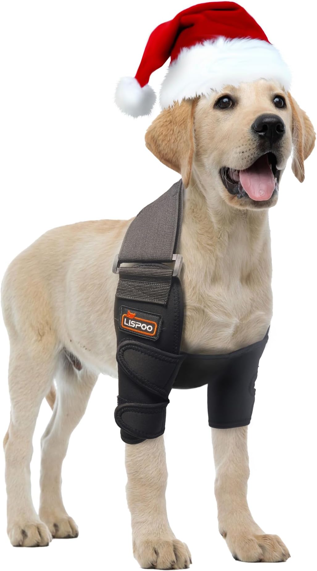 Amazon.com : Hilltown Dog Elbow Brace for Shoulder & Front Leg, Canine ...