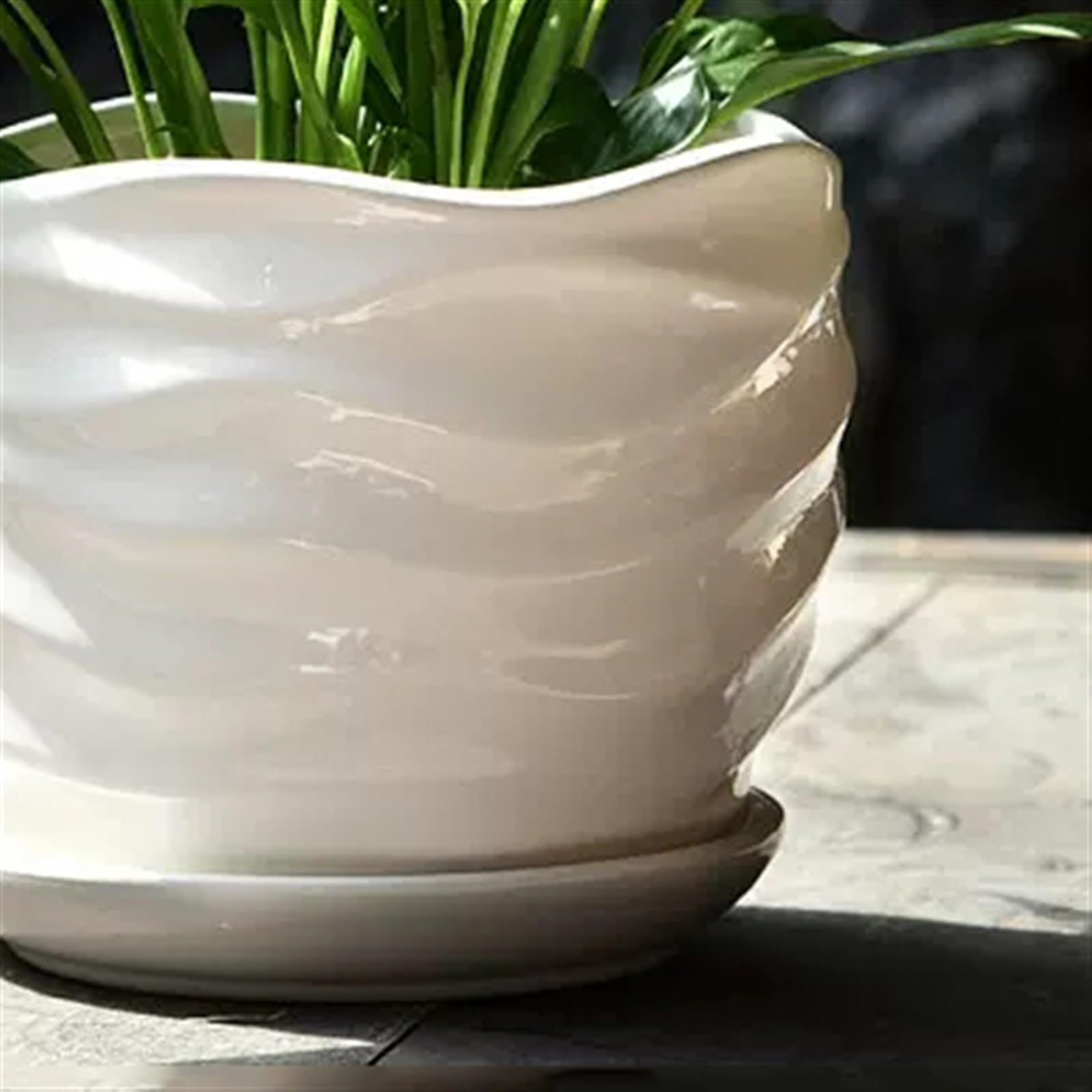 Simple White Flower Pot Beautiful Modern Design Flower Pot White