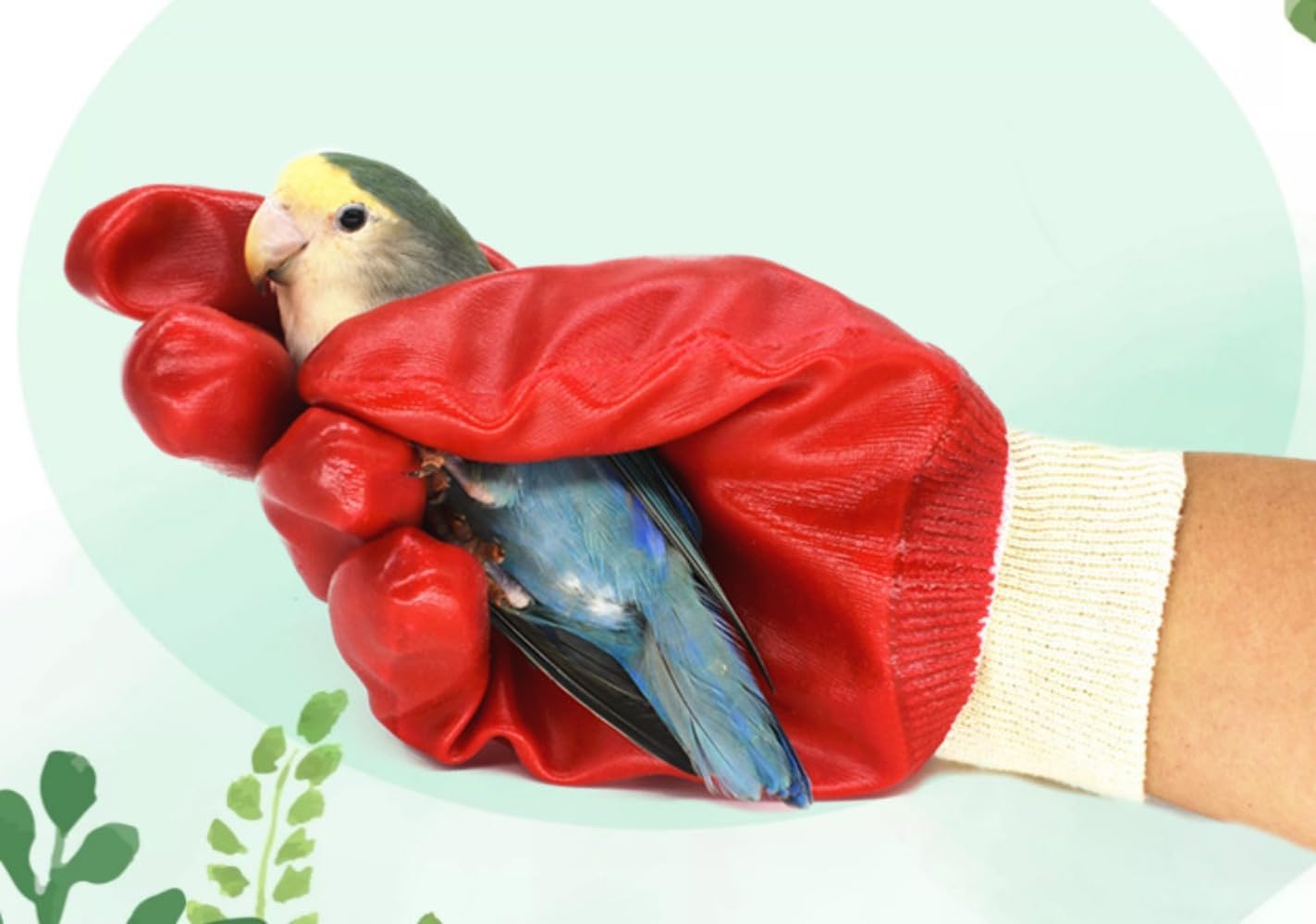 Amazon.com : UNMULFC 1 Pair Parrot Anti-bite Glove Bird Bite-Proof Bird ...