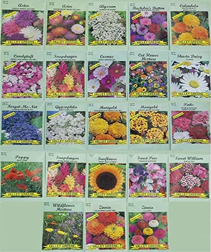 Amazon.com : Set of 50 Flower Seed Packets! Flower Seeds in Bulk, 15 or ...