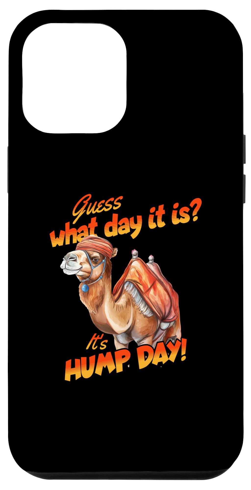 Camel Hump Day