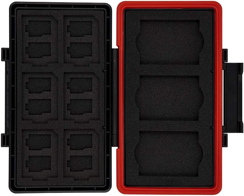 Amazon.com: ProMaster Rugged Memory Case for XQD, CFexpress Type-B, SD ...