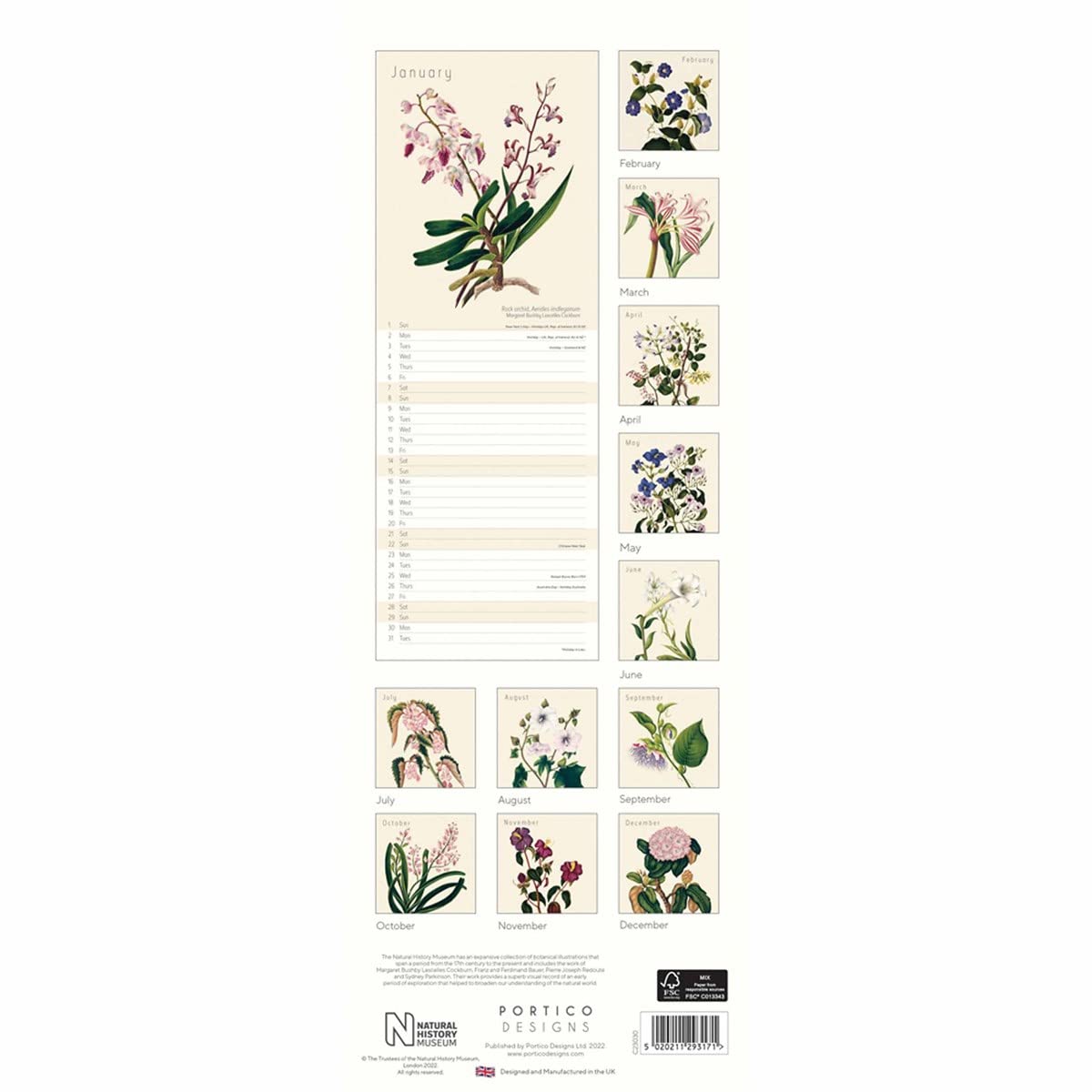 Wall Calendars 2023 by Portico Designs (NHM Botanical Slim Calendar ...
