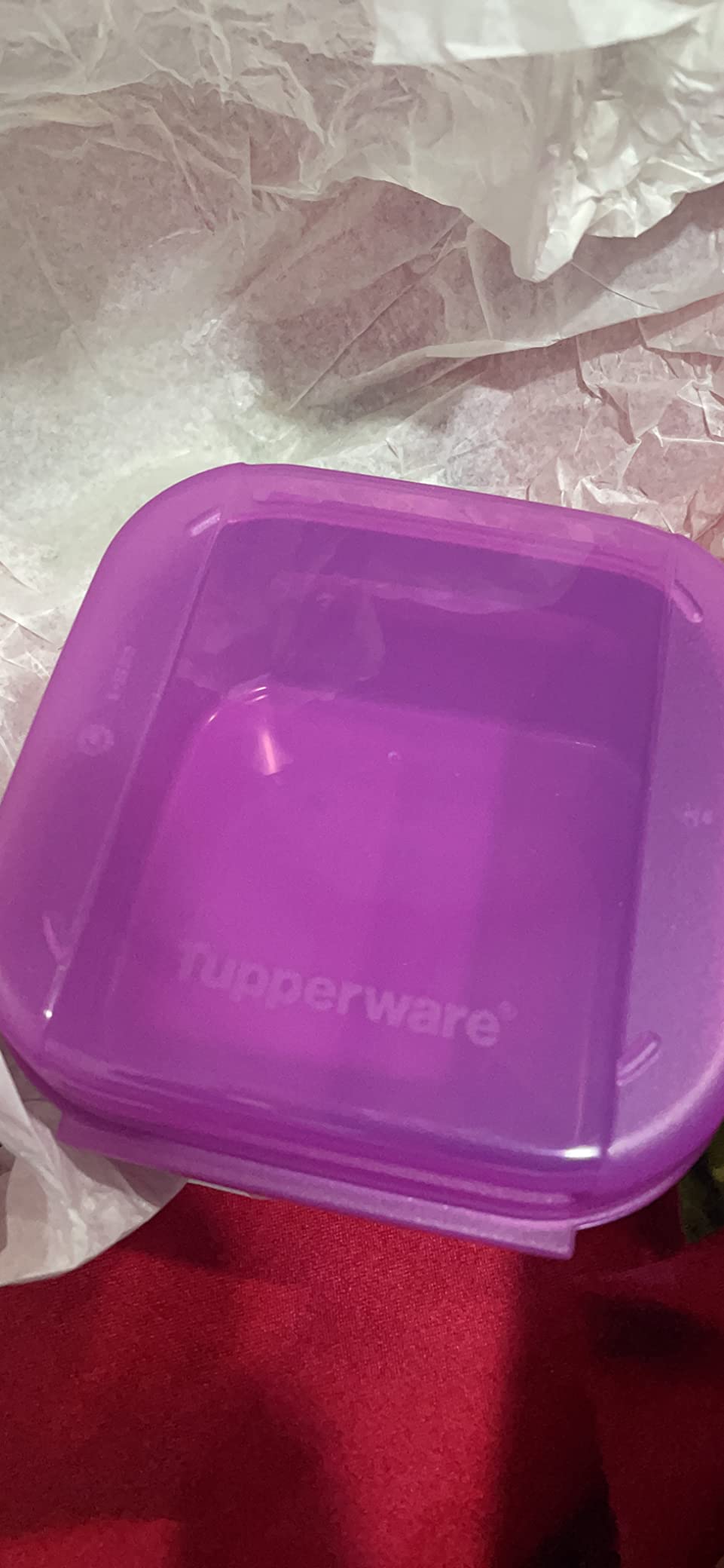Buy Tupperware 2 Signature Line Hinged Keepers Modular Mates Small ...