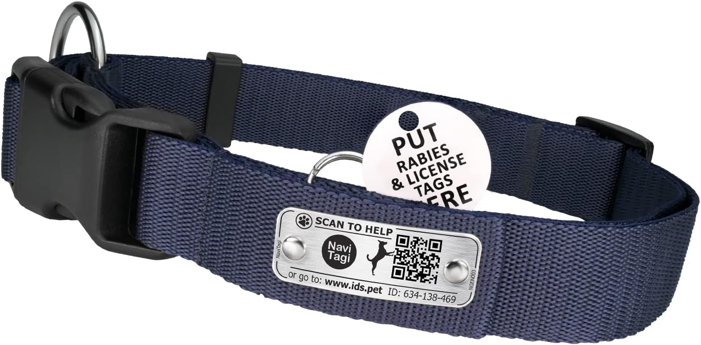Amazon.com : NaviTagi Large Dog Collar Personalized with QR ID ...