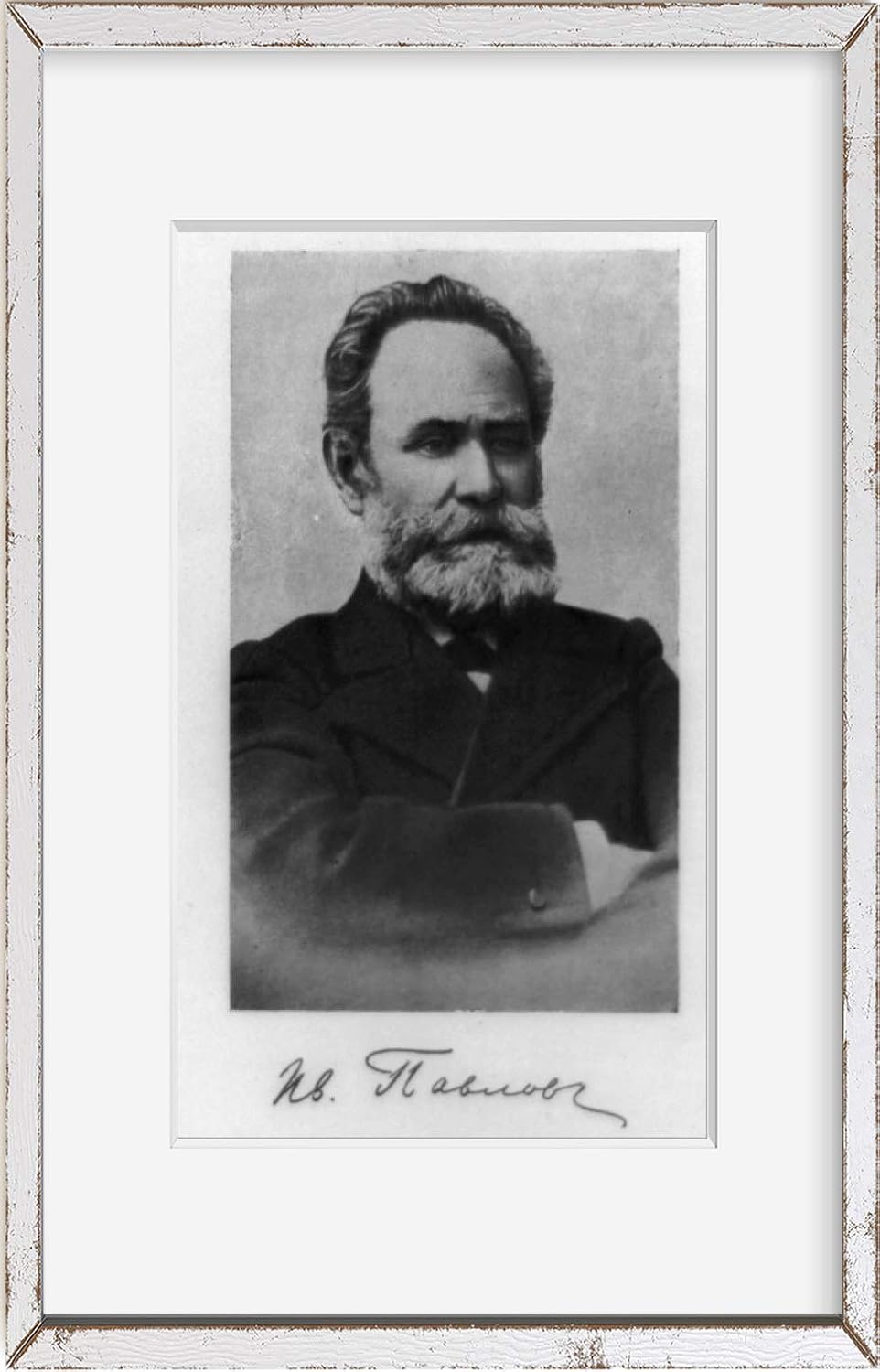 Amazon.com: INFINITE PHOTOGRAPHS Photo: Ivan Petrovich Pavlov,Crossed ...