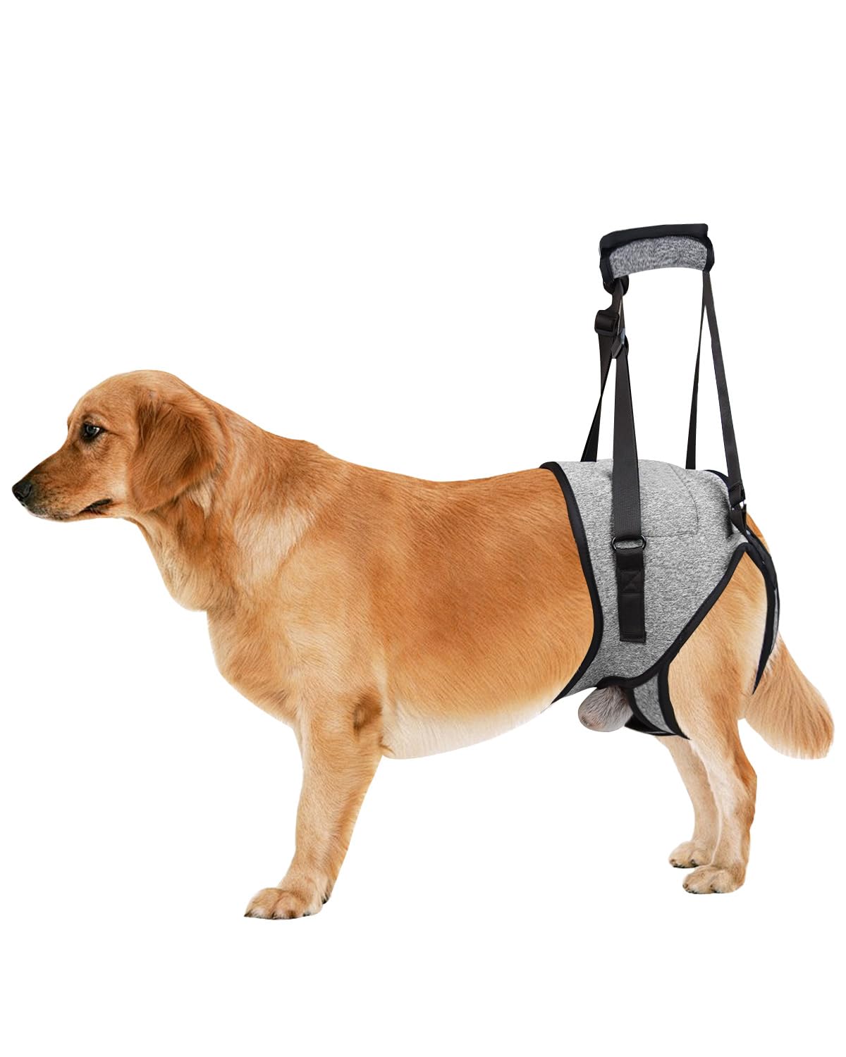 Amazon.com : Dog Lift Harness for Medium Dogs, Sling for Dogs Back Legs ...