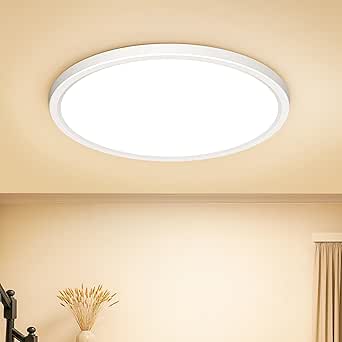 ONEWEST LED Ceiling Lights, 30CM 2400LM Modern Round Bathroom Light ...