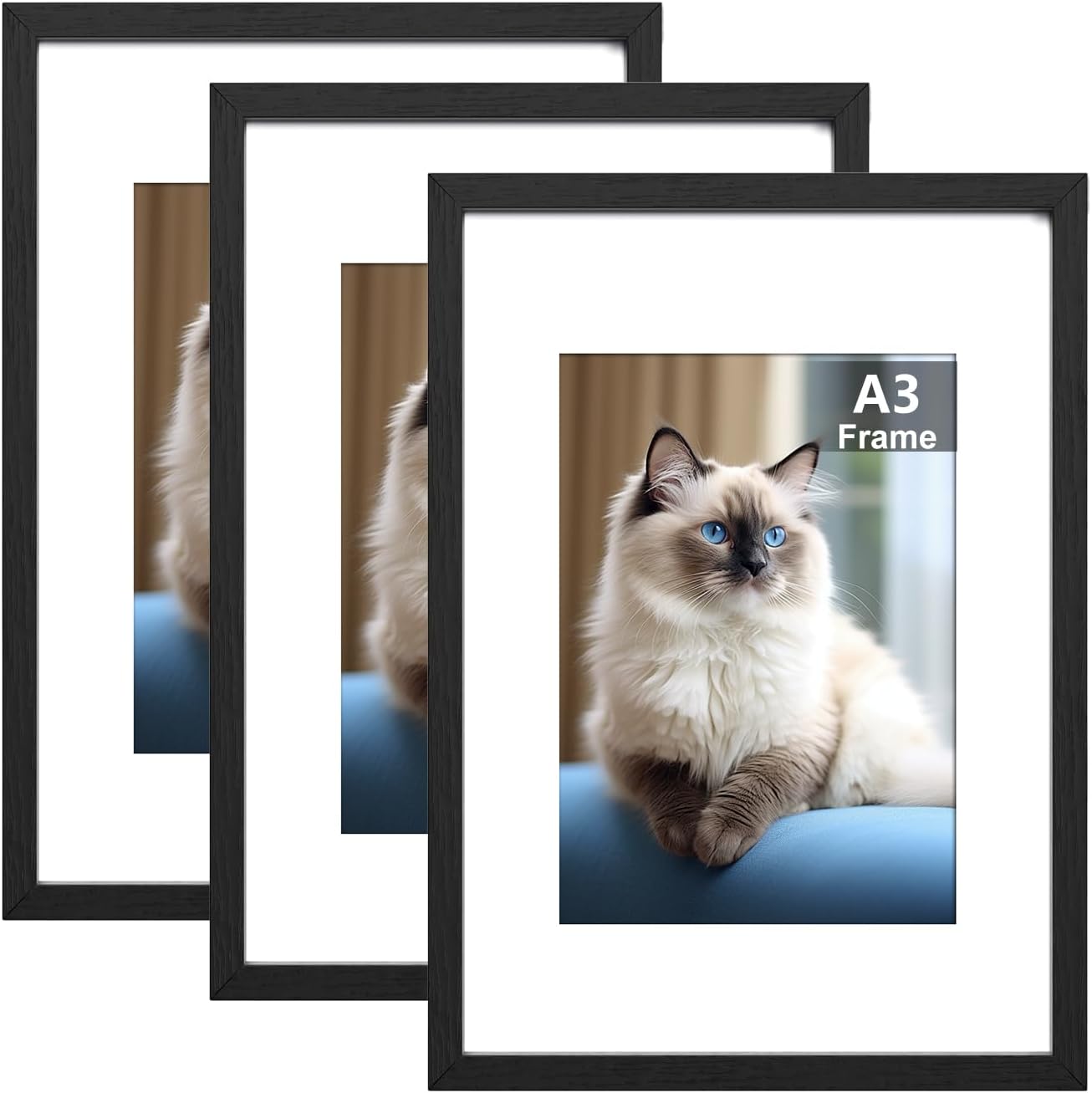 RUN HELIX A3 Picture Frame Set of 3, A3 Frame,Black Picture Frame 42 x ...