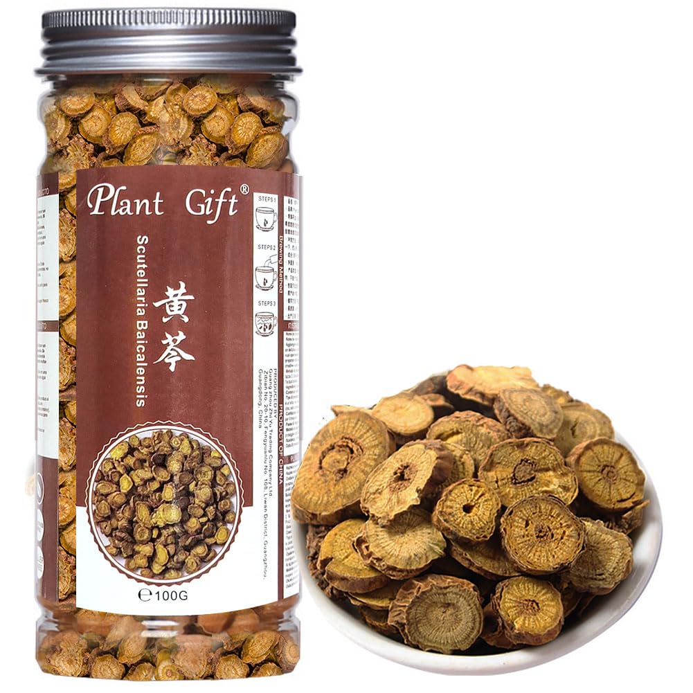 Snapklik.com : Plant Gift Chinese Skullcap Herb Tea Organic Herbal Medicine