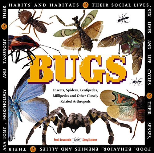 Bugs: Insects, Spiders, Centipedes, Millipedes, and Other Closely ...