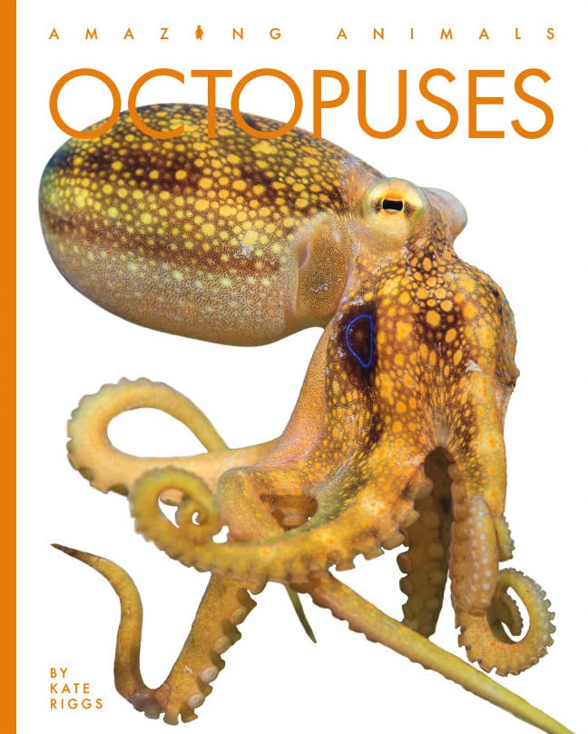 Octopuses (Amazing Animals): Riggs, Kate: 9781682771266: Amazon.com: Books