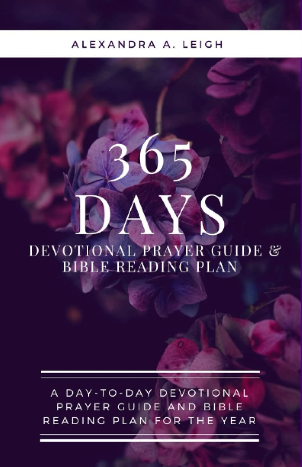 365 DAYS DEVOTIONAL PRAYER GUIDE & BIBLE READING PLAN: A day to day devotional prayer guide and ...