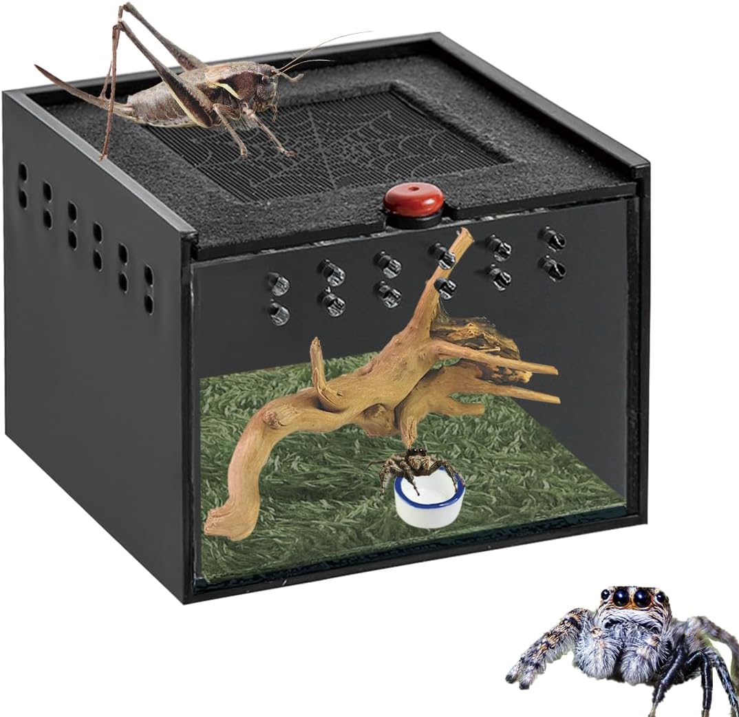 Acrylic Jumping Spider Enclosure,Spider Terrarium Philippines | Ubuy