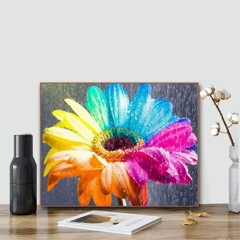 Amazon.com: ACENGXI Paint by Numbers Daisy Paint by Numbers Flower ...