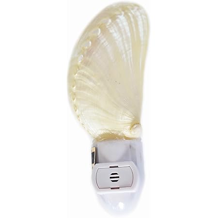 Seashell Night Light Real Pearl Abalone Shell Beach Decor w. Light ...