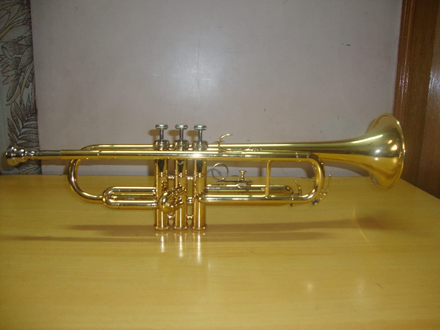 Sai Musical Store Bb TRUMPET Low Pitch Brass Musical Instrument for ...