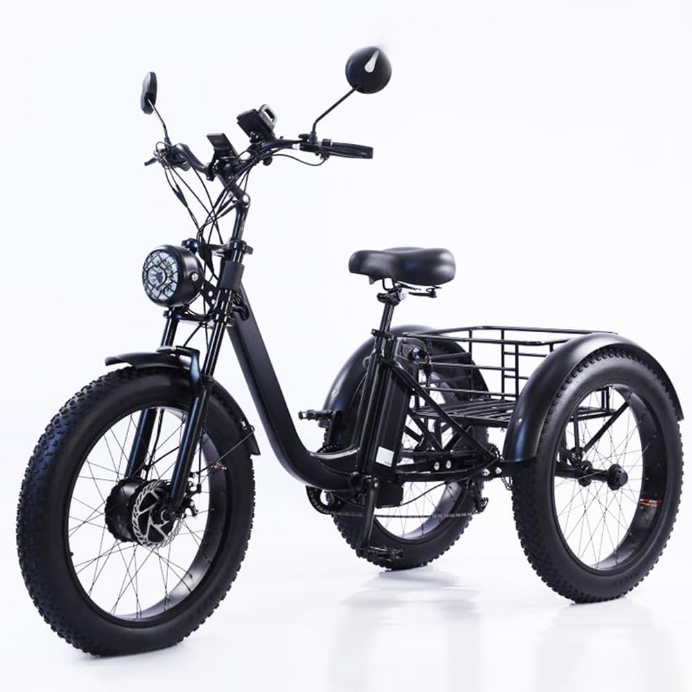 Amazon.com : 24 inch Three Wheel Electric Bike for Adults, Seniors 750W ...