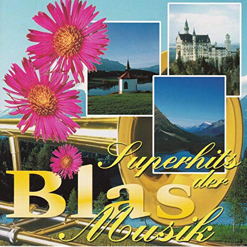 Amazon.com: Superhits der Blasmusik : VARIOUS ARTISTS: Digital Music