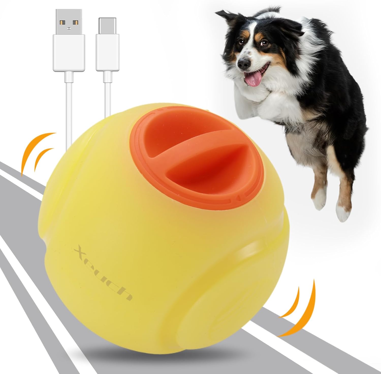 Pet Supplies : Xeuch LED Dog Ball Rechargeable, Light Up Dog Ball Toys ...