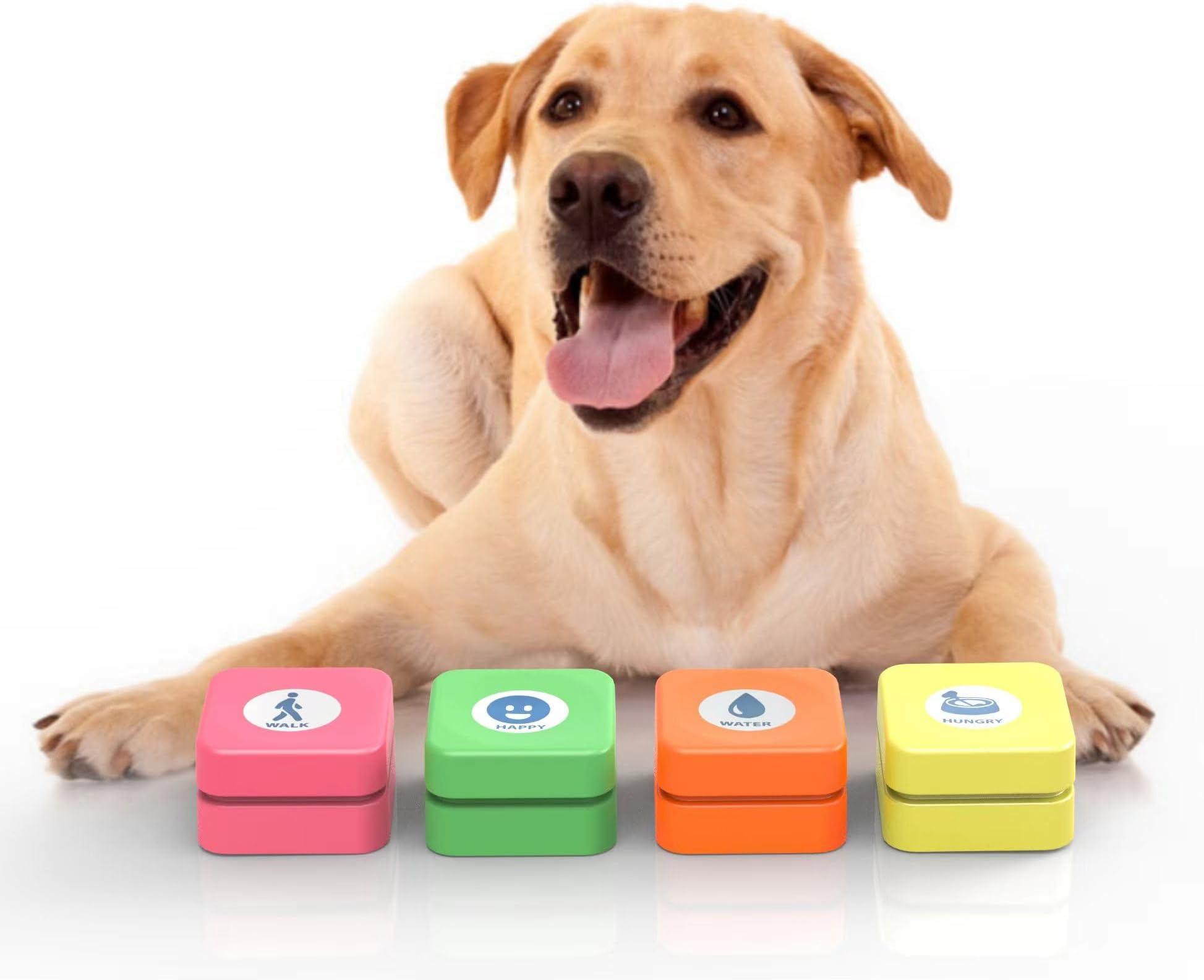 Amazon.com : PawTalk Recordable Dog Buttons - Talking Buttons for Pet ...