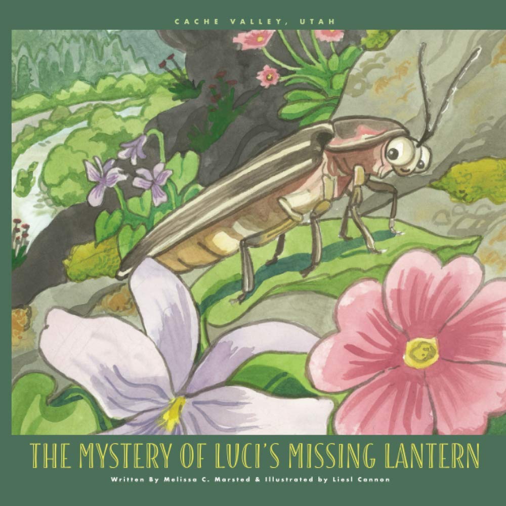 The Mystery of Luci's Missing Lantern: Marsted, Melissa C., Cannon ...