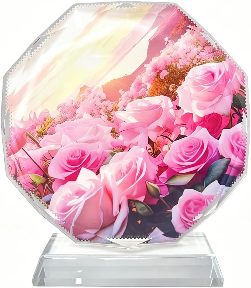 Amazon.com - Sublimation Blank Crystal Glass Trophy, Picture Frame for ...