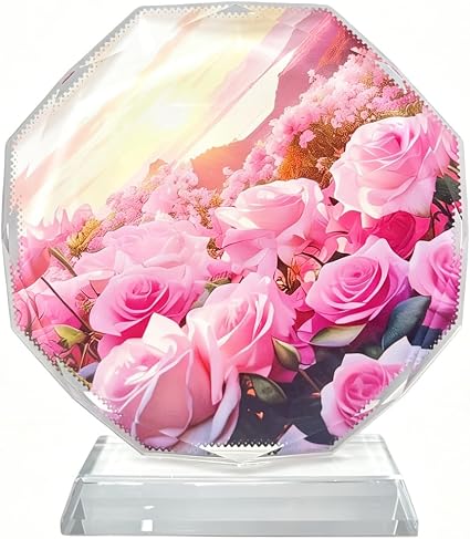 Amazon.com - Sublimation Blank Crystal Glass Trophy, Picture Frame for ...