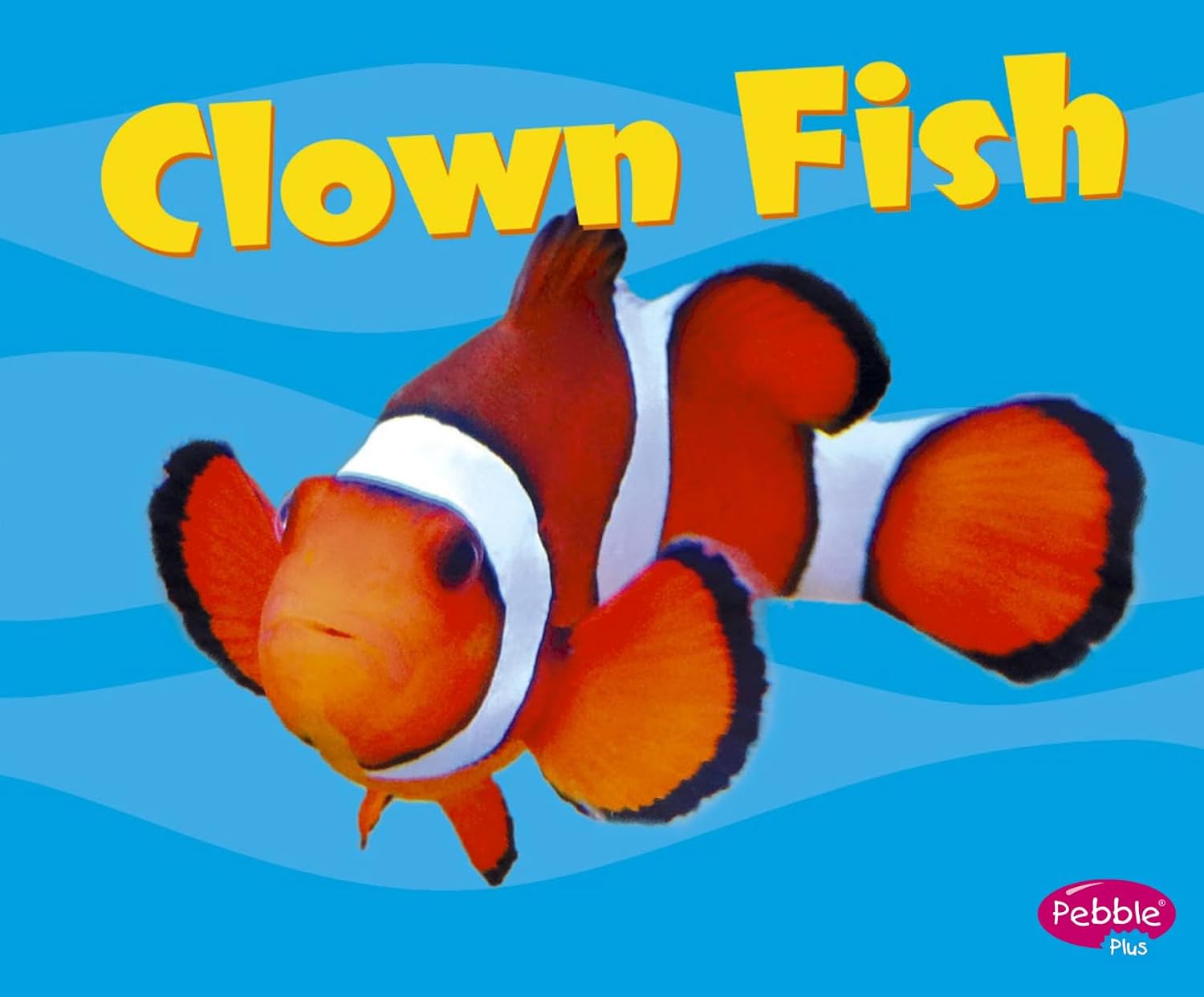 Clown Fish (Under the Sea): Lindeen, Carol K.: 9781515759690: Amazon ...