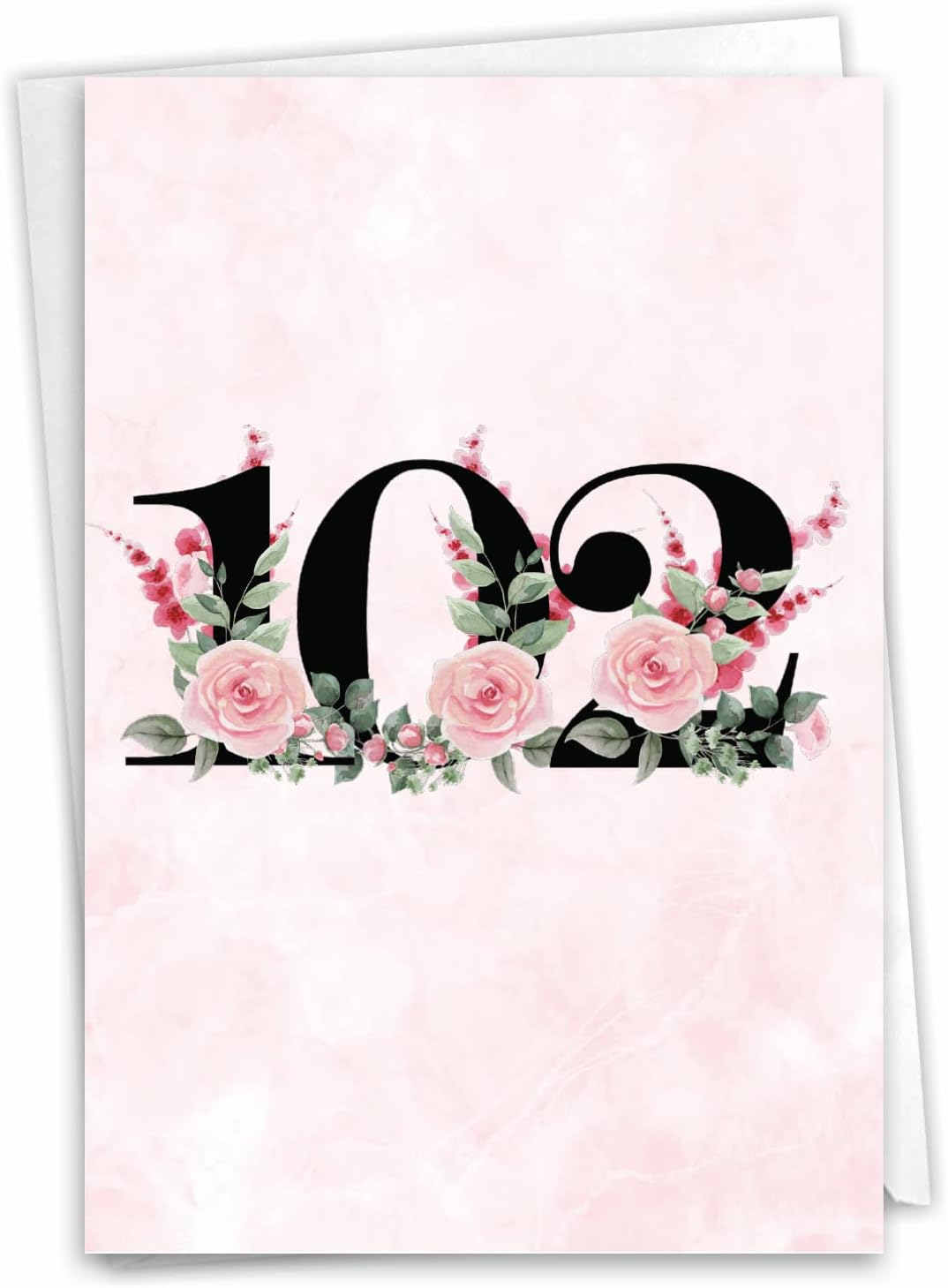 Amazon.com : NobleWorks - 102th Milestone Birthday Greeting Card with 5 ...