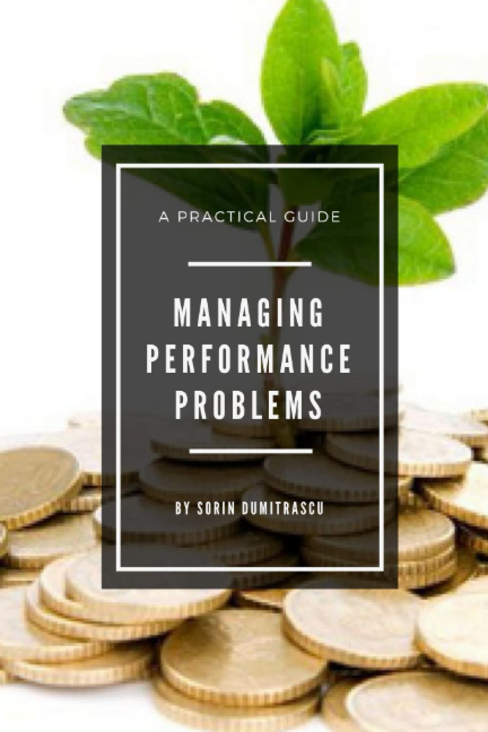 Managing Performance Problems: A Practical Guide: 5 (Management ...