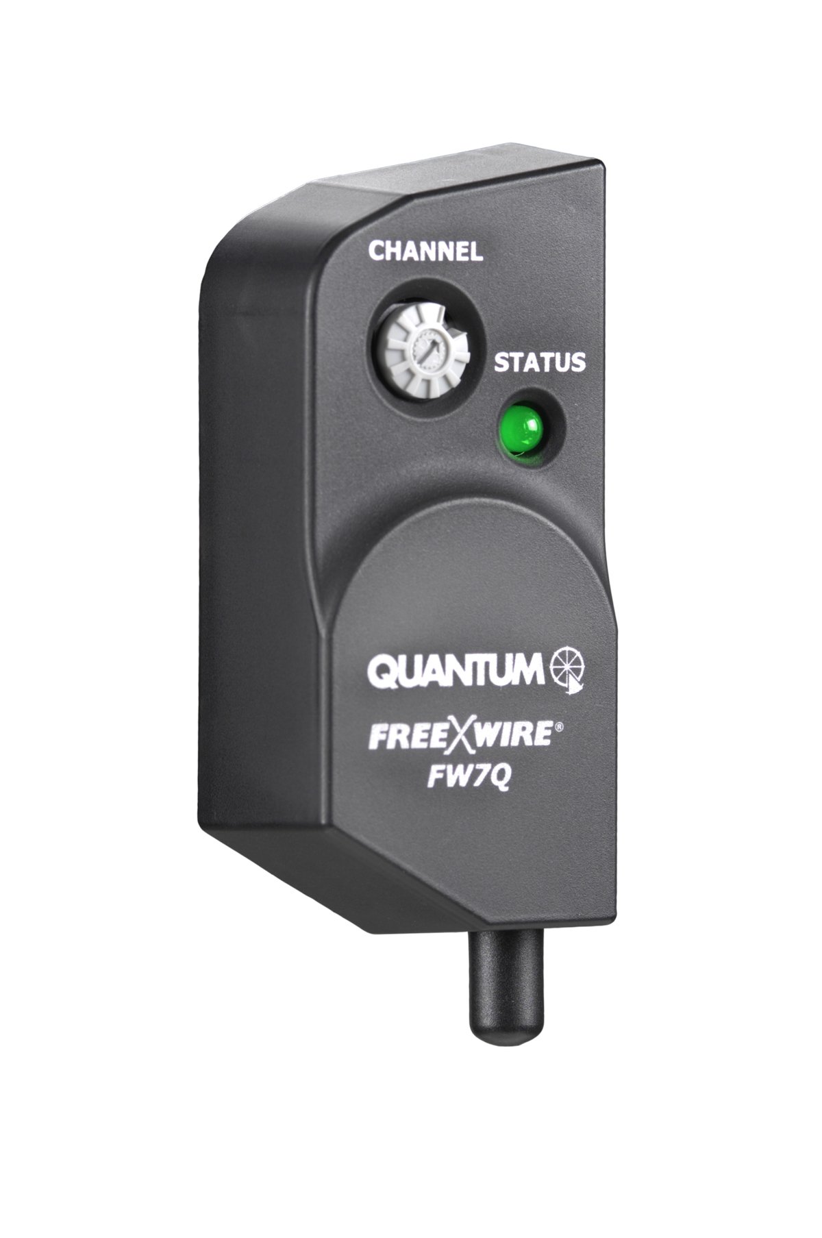 Buy Quantum FreeXwire Receiver for Qflash (FW7Q) Online at desertcartOMAN