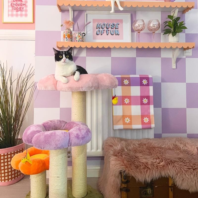 Amazon.com : Happy & Polly 57.5" Cat Tree Extra Large Cats Tower Condo ...