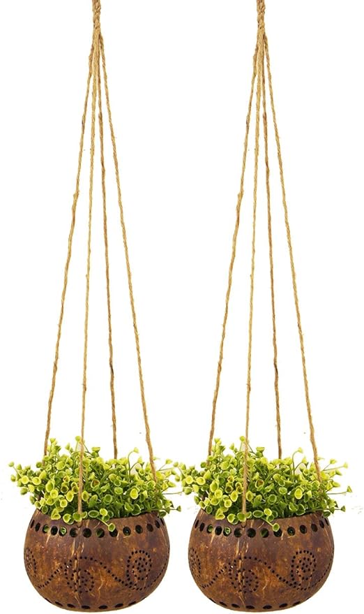 Amazon.com: Exotic Elegance Set of 2 Garden Decorative 4 1/2" Coconut ...