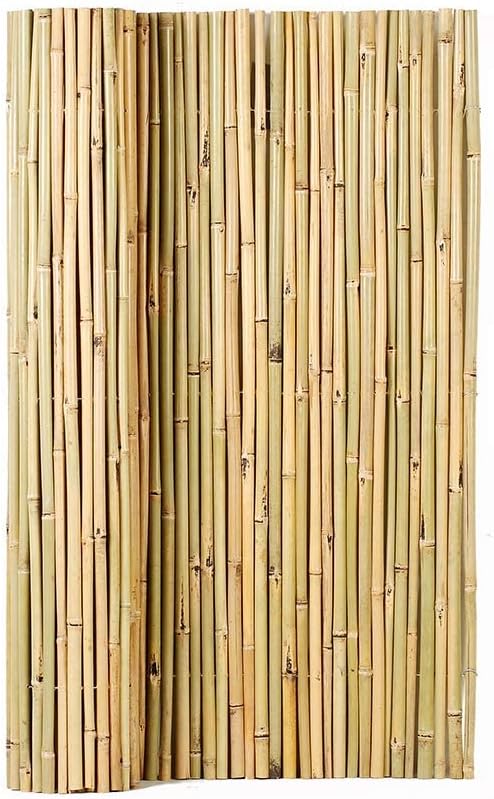 Amazon.com: DearHouse Natural Reed Fencing, Eco-Friendly Reed Fence, 6 ...