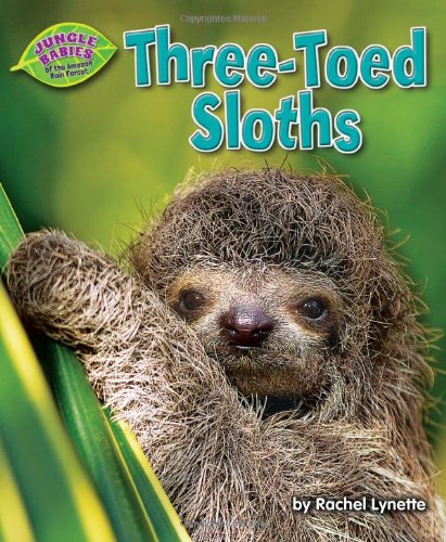 Three-Toed Sloths : Lynette, Rachel: Amazon.ca: Books