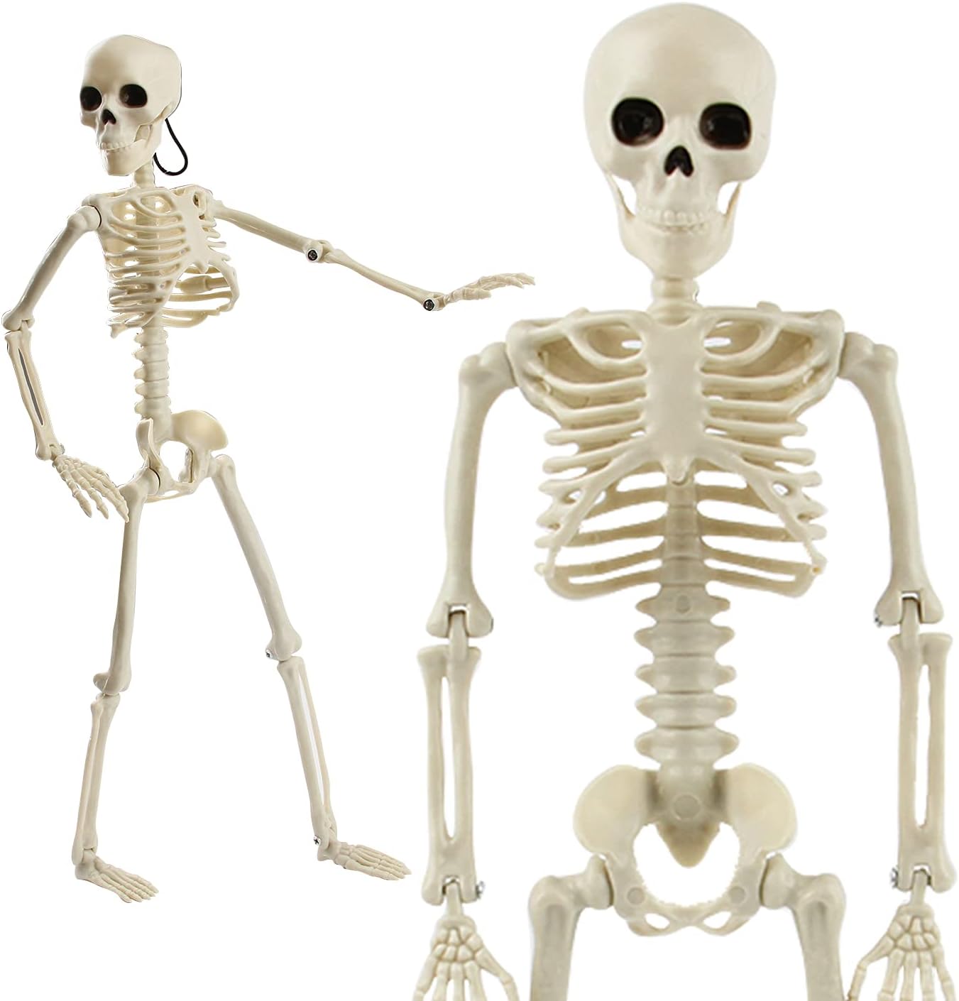 Amazon.com: CCINEE Halloween Skeleton Decoration,Full Body Posable ...