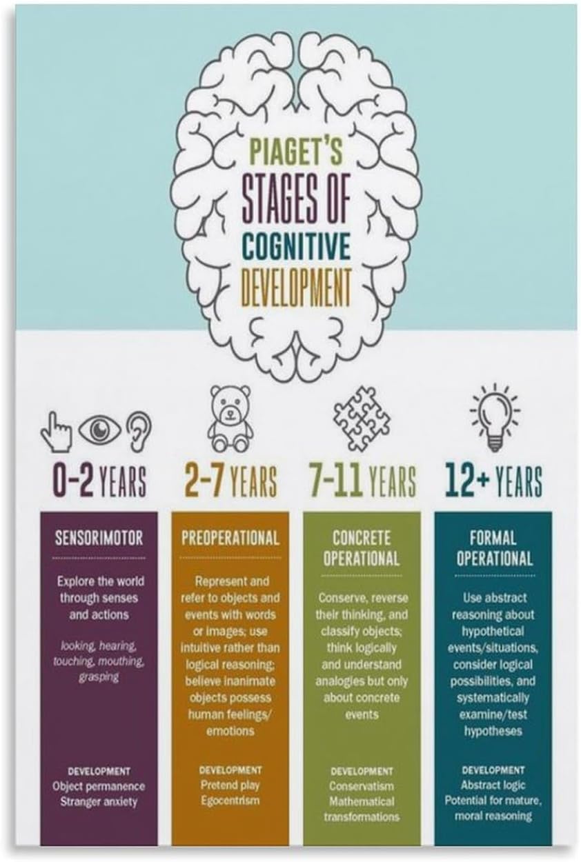 Amazon.com: Piaget's Cognitive Development Stages Poster (2 ...